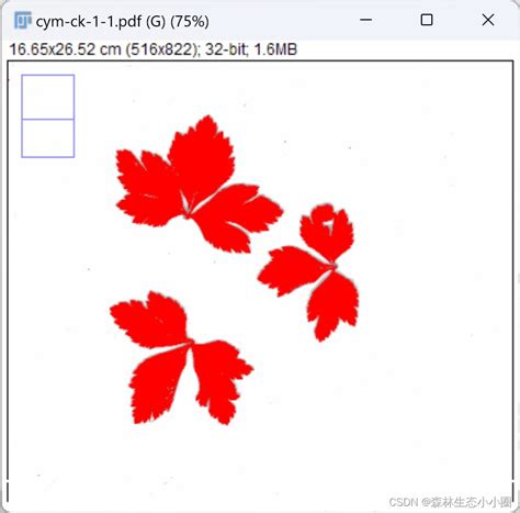 imagej批量计算叶片面积 imagej测量面积 教程 csdn博客