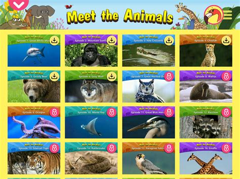 Meet The Animals Storybook Apk For Android Download