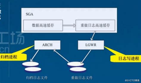 Oracle 数据库 体系结构 （二）：服务器结构 Csdn博客