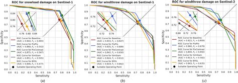 Figure 1 From Forest Disturbance Detection Via Self Supervised And