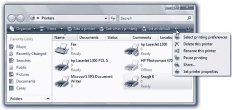Delete Snagit 8 Printer Mybestascse