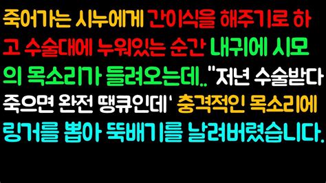 반전 사이다사연 죽어가는 시누에게 간이식을 해주기로 하고 수술대에 누워있는 순간 내귀에 시모의 목소리가 들려오는데수술받다 죽으면 완전 땡큐인데 충격적인 소리에
