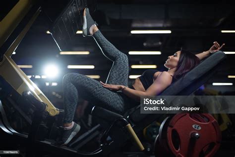 피트 니스 소녀 포즈 체육관에서 보여주는 그녀의 몸과 휴식 후 운동 가냘픈에 대한 스톡 사진 및 기타 이미지 가냘픈 갈색 머리 건강한 생활방식 Istock
