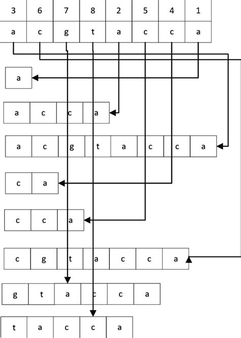Similarities And Differences Between Sa Array And Rk Array Download Scientific Diagram