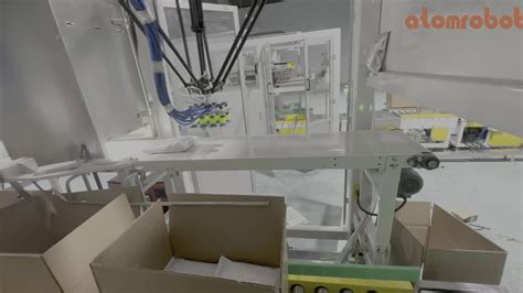 Leo Zhang On Linkedin Endofline Pickandplace Automation Packagingmachinery Casepacker