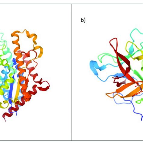 Images From The Rcsb Pdb Of The Tertiary Structures Of A Download Scientific