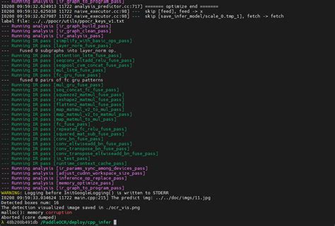 Paddleocr C System利用测试图片运行部分报malloc Memory Corruption · Issue