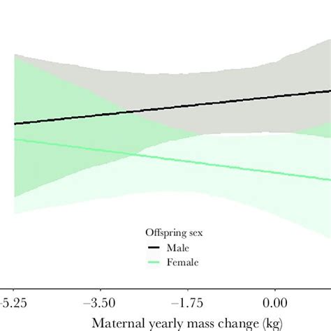 Interaction Of Maternal Effort Measured As Mass Change And Offspring Download Scientific