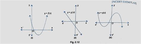 Grade 10 Cbse Polynomials Worksheet Pdf