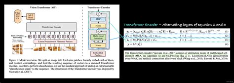 【pytorch】论文复现 Vision Transformer Vitvit复现 Csdn博客