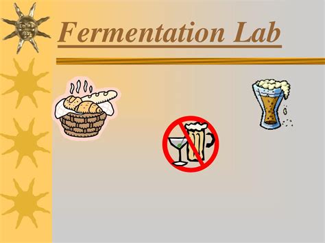 Ppt Fermentation Lab Powerpoint Presentation Free Download Id459759