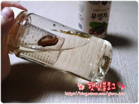 산청 우엉차 선물세트 산엔청쇼핑몰 스토어팜 네이버 블로그