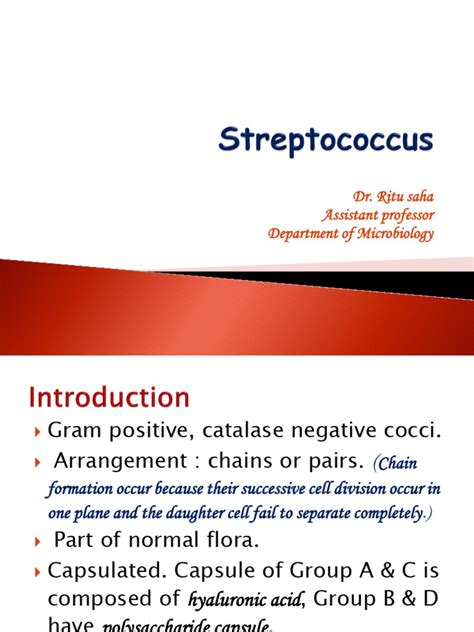 2 Streptococcus Pdf Streptococcus Infection