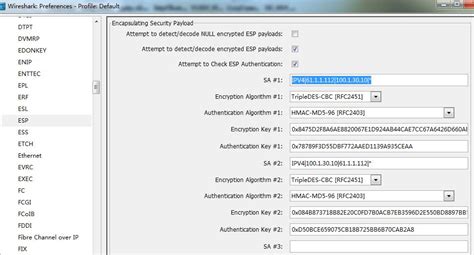 使用wireshark查看ipsec加密流量51cto博客点对点tcpip流量加密