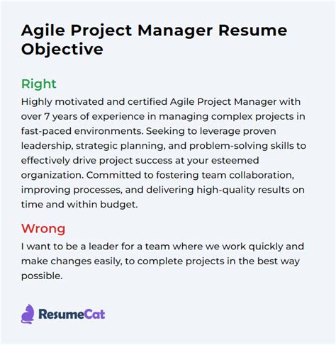 Top 18 Agile Project Manager Resume Objective Examples