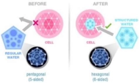 Living Healing Natural What Is Structured Water Regenerative