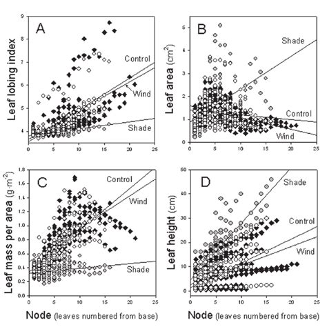 Relationships Between Leaf Lobing A Leaf Perimeter Leaf Area Download High Quality