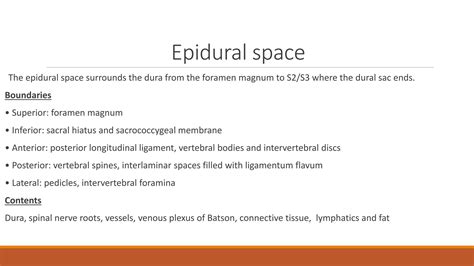Anatomy And Physiology Of Brain Spinl Cord Nerve Eye Pptx