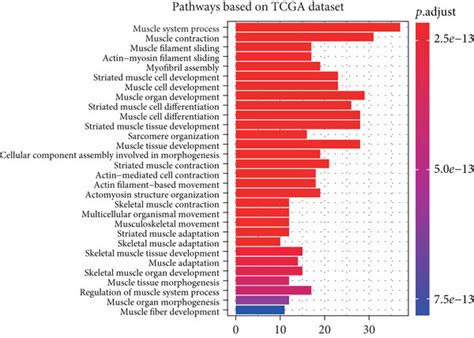 Differences In Genomic Copy Number Variations Cnvs Related To The Two Download Scientific