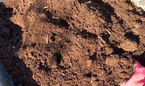 How To Make A Diy Stackable Planter With Items From Dollar Tree Simplify