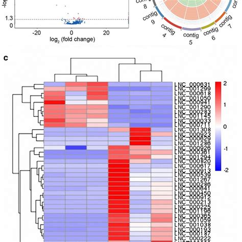 Identification And Screening Of Lncrnas In C Arbuscula A Steps Of The Download Scientific