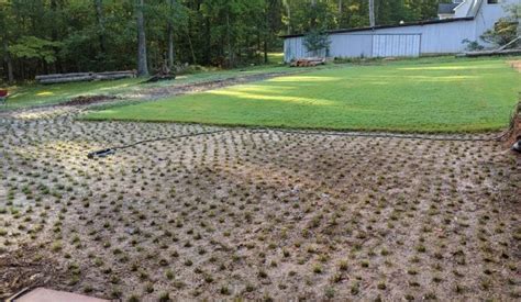 Planting Grass Plugs From Sod ProPlugger