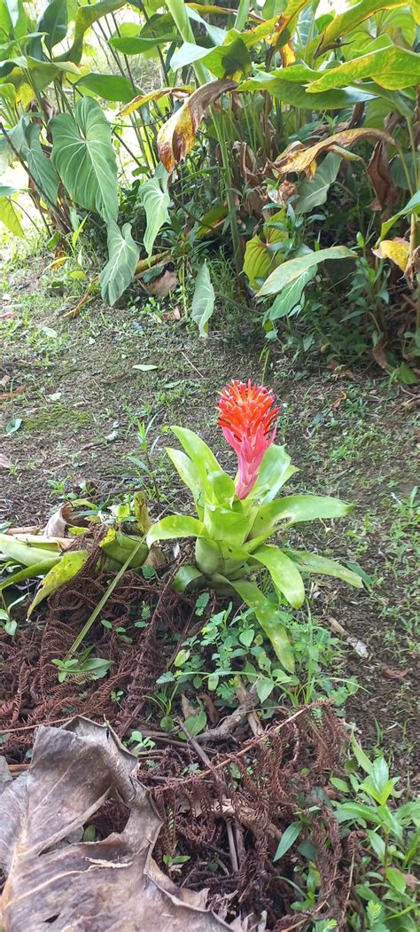 Joeli M Posted On Linkedin