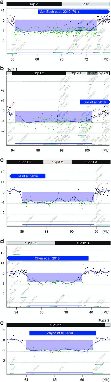 Chromosomal Microarray Testing Results The Identified Deletions Are