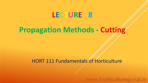 Cutting PPT Horticulture Guruji