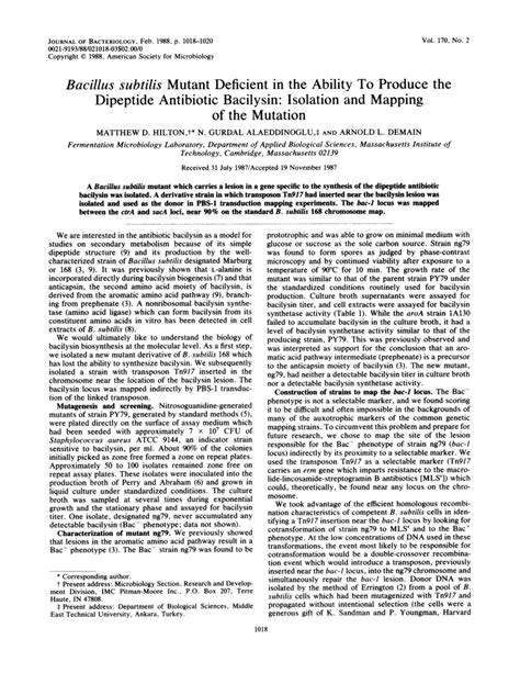 Pdf Bacillus Subtilis Mutant Deficient In The Ability To Produce The Dipeptide Antibiotic