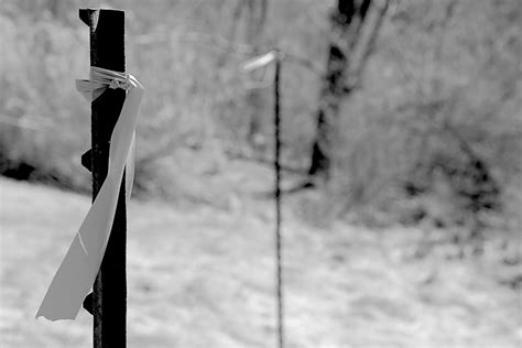 Property Line Tisher Liner Fc Law