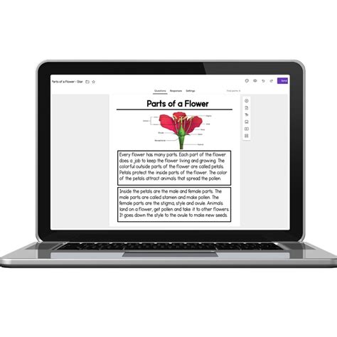 Digital 2nd Grade Reading Passages Text Features Parts Of A Flower Below Lucky Little