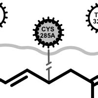 Visualizing Protein Ligand Interactions Openeye Python Cookbook Voct