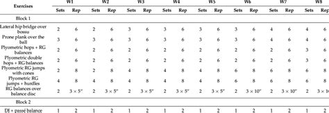 Overview Of The 8 Week Integrated Functional Cpt Program Download