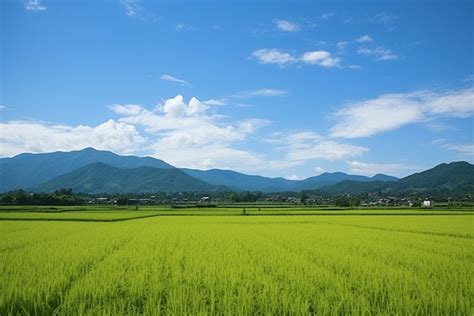 푸른 하늘과 밝은 푸른 하늘이 있는 녹색 초원 아름다운 푸른 하늘과 신선한 녹색 초원 풍경 고화질 사진 사진 배경 일러스트 및 사진 무료 다운로드 Pngtree