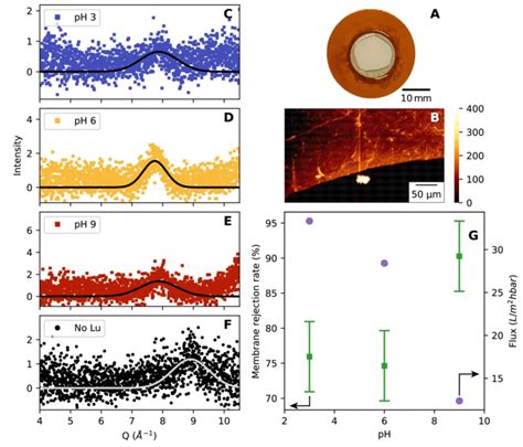A Free Standing Graphene Oxide Membrane On A Polyimide Support Film