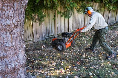 Senior Man Operating A Gas Powered Stump Grinding Machine To Cut Back