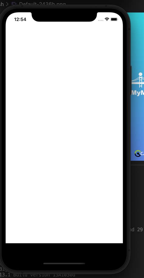 ios white screen appears instead of splash screen stack overflow