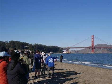 Birding Walk With Jt Birds At Crissy Field Crissy Field East Beach