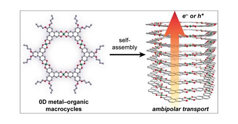 Conjugated Metalorganic Macrocycles Synthesis Characterization And Electrical Conductivity
