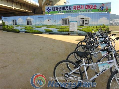 부산 대저생태공원 무료 자전거대여소 운영 개시뉴스쉐어 Newsshare 시대를 이끄는 새로운 정론