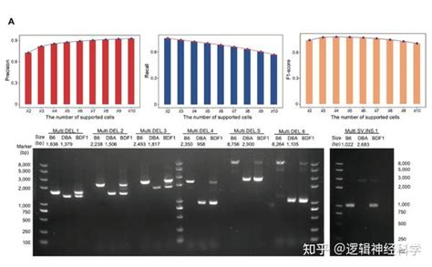 Nar︱北京大学汤富酬课题组利用单精子长读段基因组测序进行高精度单倍型分型 知乎