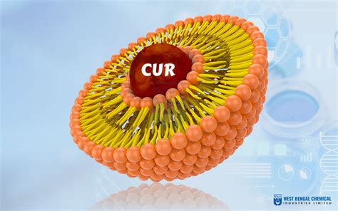 Liposomal Curcumin C21h20o6 Usp Application And Insights