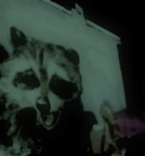 Raccoon Thomas Devaney