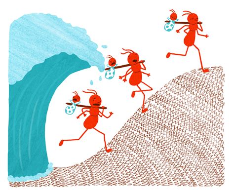 How To Beat Flooding Ant Style Your Wild Life