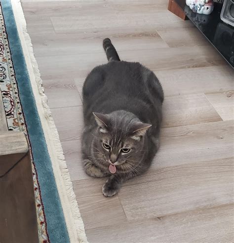 Cute Cacodemon He Made Me Smile R Mademesmile