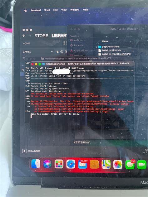 Someone Pls Help R SMAPI