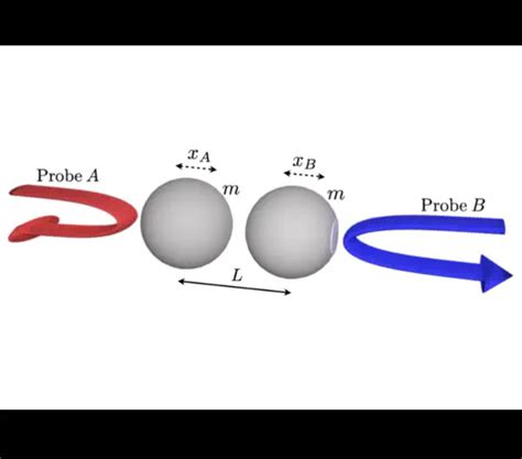 quantum palermo group