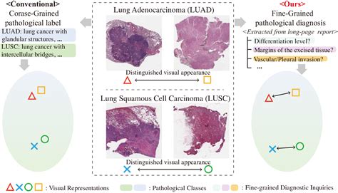 Wsi Vqa Interpreting Whole Slide Images By Generative Visual Question Answering Ai Research