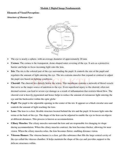 Ipt Module 1 Pdf Eye Visual Perception